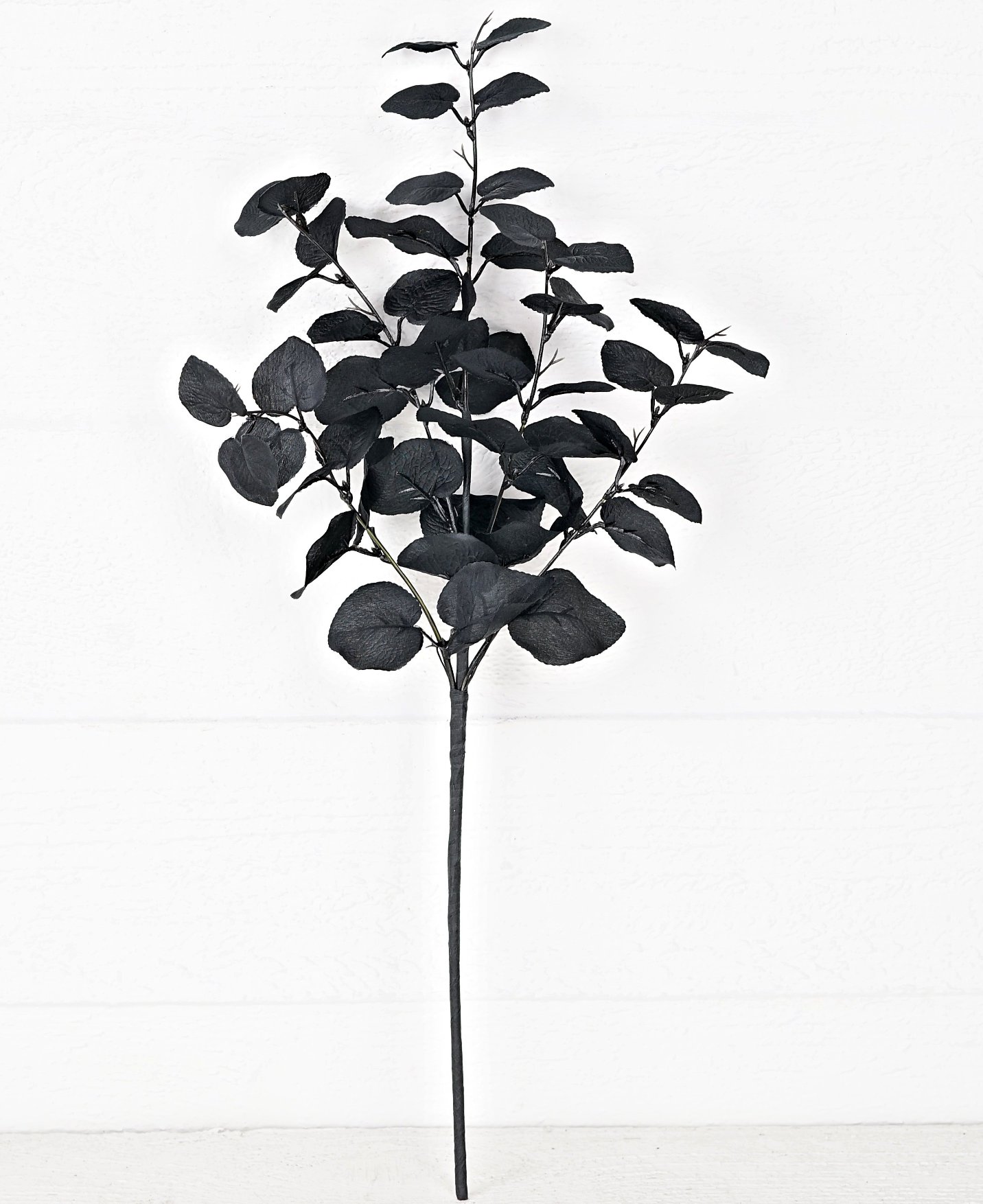 20in Black Eucalyptus Halloween – Brian Lane Designs