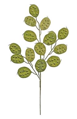 Spring/Summer Greenery – Page 2 – Brian Lane Designs